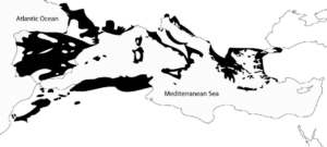 Tipos de Quercus en España. Robles y Encinas del Mediterráneo